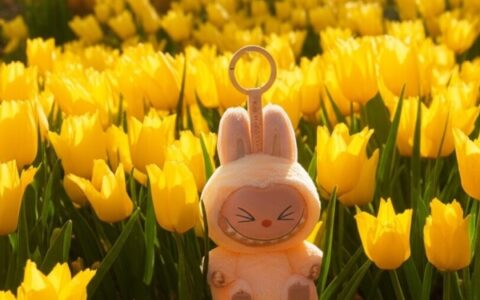 Meet Sisi Labubu: Exploring the Adorable World of Labubu's Best Friend