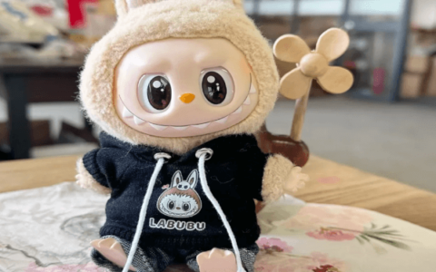 Meet Sisi Labubu: Exploring the Adorable World of Labubu's Best Friend