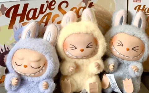 Meet Sisi Labubu: Exploring the Adorable World of Labubu's Best Friend