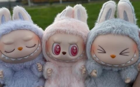 Meet Sisi Labubu: Exploring the Adorable World of Labubu's Best Friend